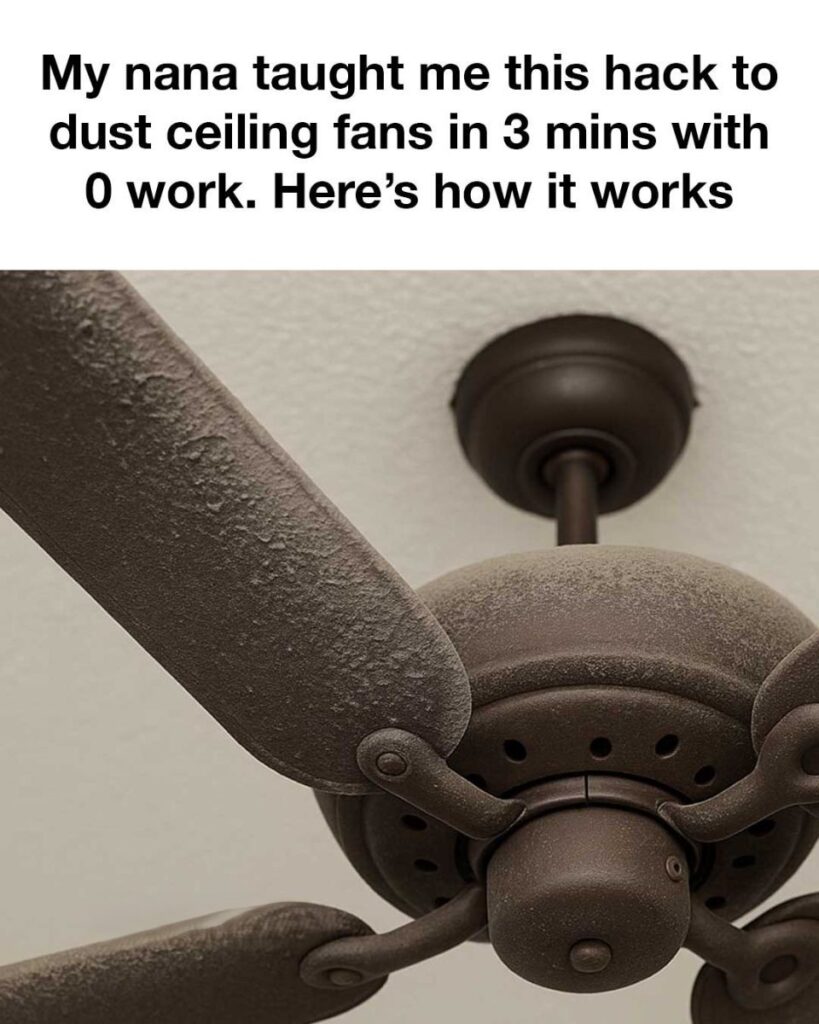 My nana taught me this hack to dust ceiling fans in 3 mins with 0 work ...